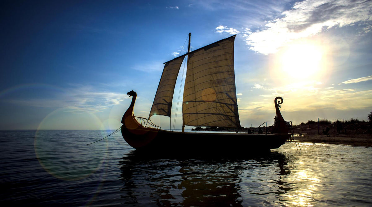 How Did The Vikings Navigate (Everything You Should Know)